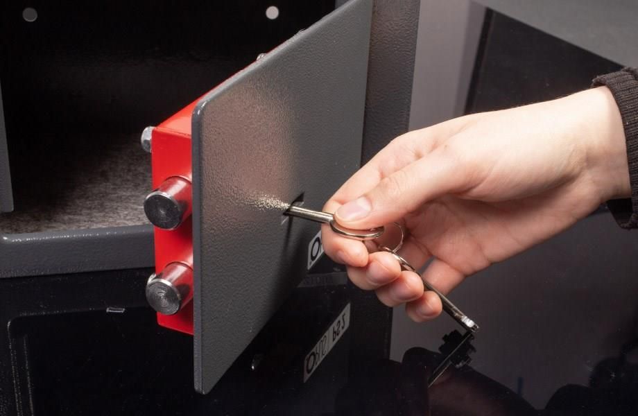 Opus Safe Guard PS 2 - Ceny i opinie - Ceneo.pl