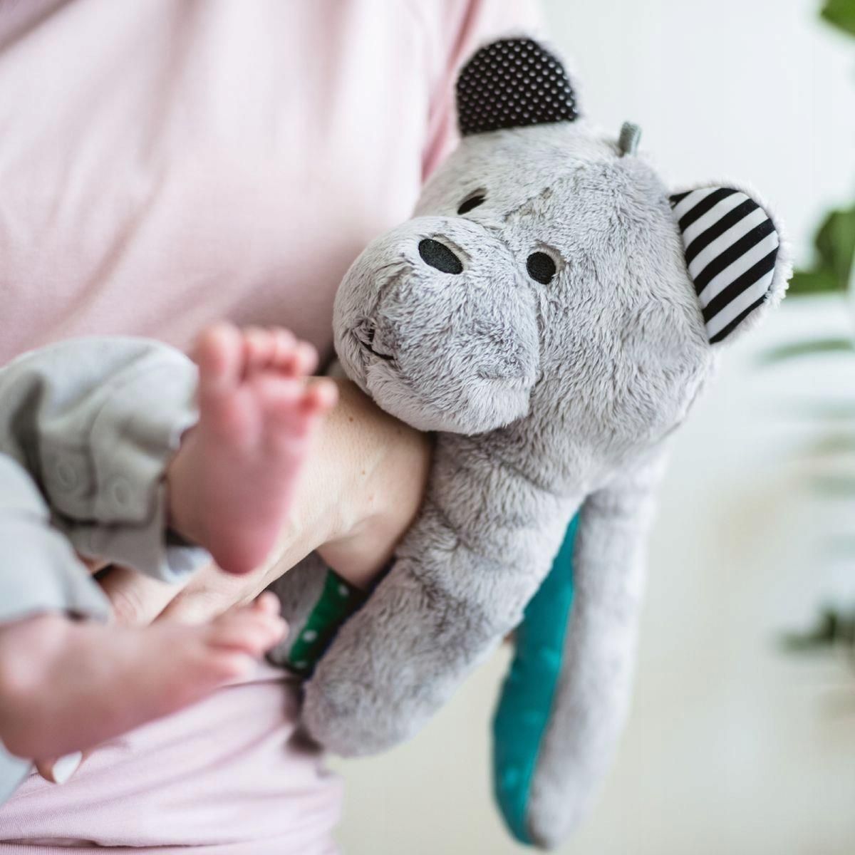 Whisbear Szumiący Miś Soft Cry sensor arbuz - Ceny i opinie - Ceneo.pl