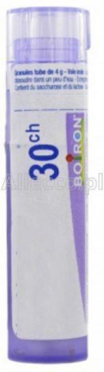 Lek homeopatyczny Boiron Conium Maculatum 30CH 4 g - Opinie i ceny na ...