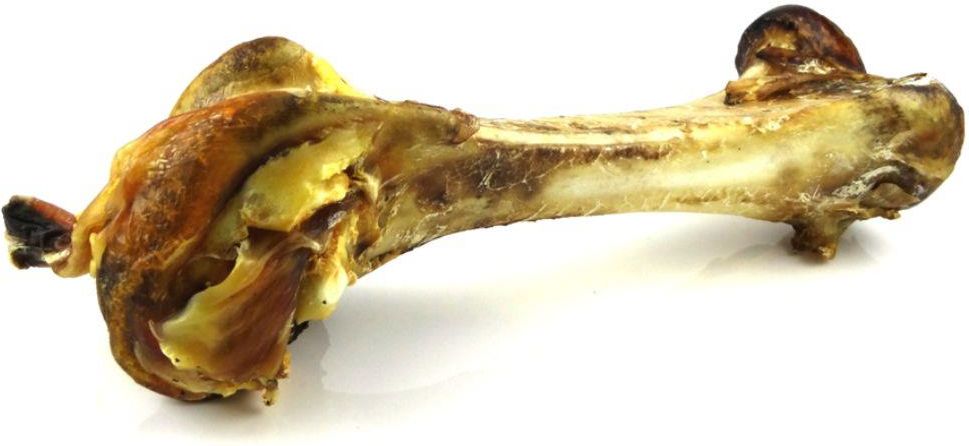 Karma DeliBest kość strusia XXL ok 30 cm 1 szt - Ceny i opinie - Ceneo.pl