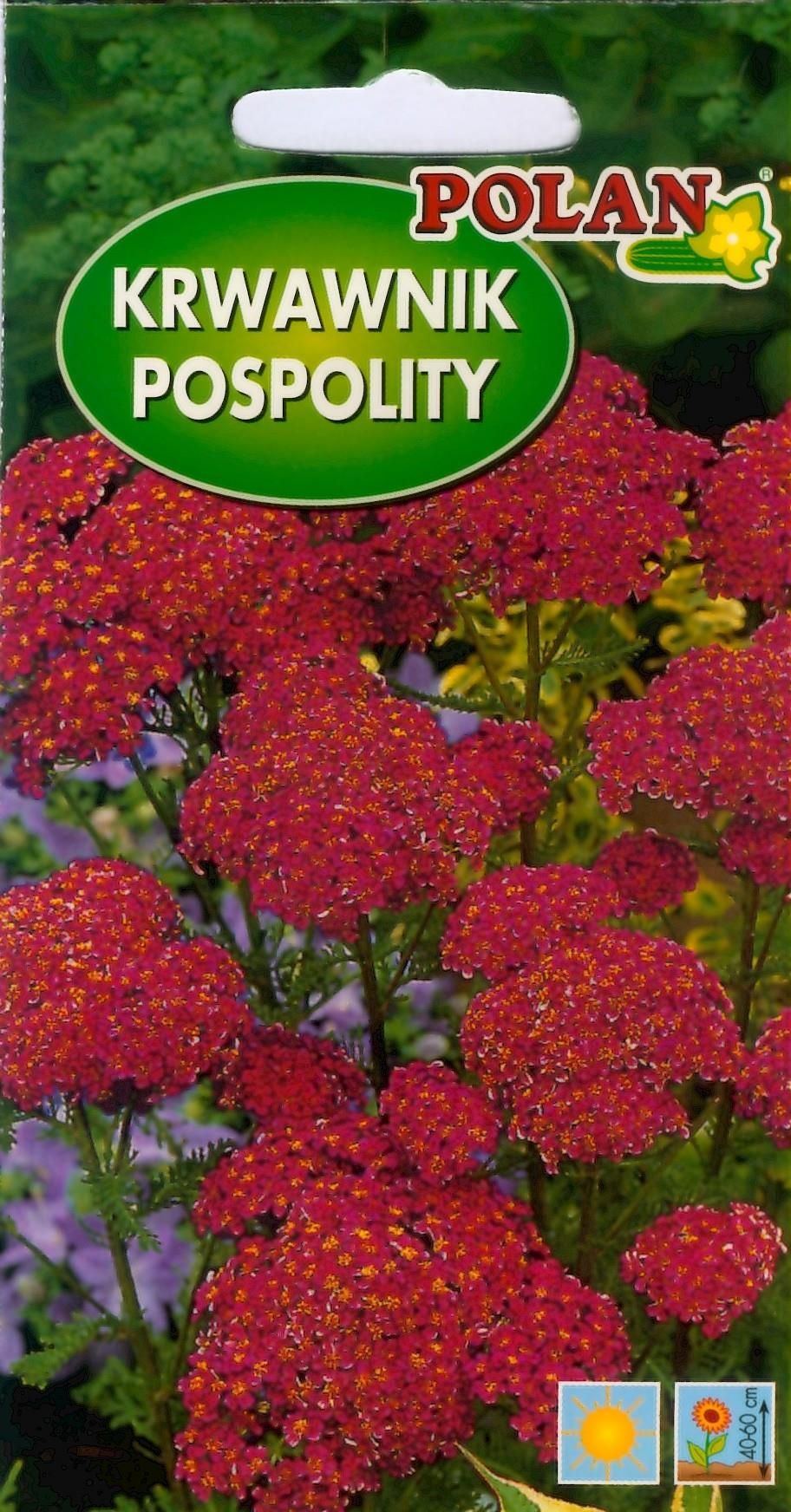 Polan 0,2G - Krwawnik Pospolity C.Różowy - Ceny i opinie - Ceneo.pl