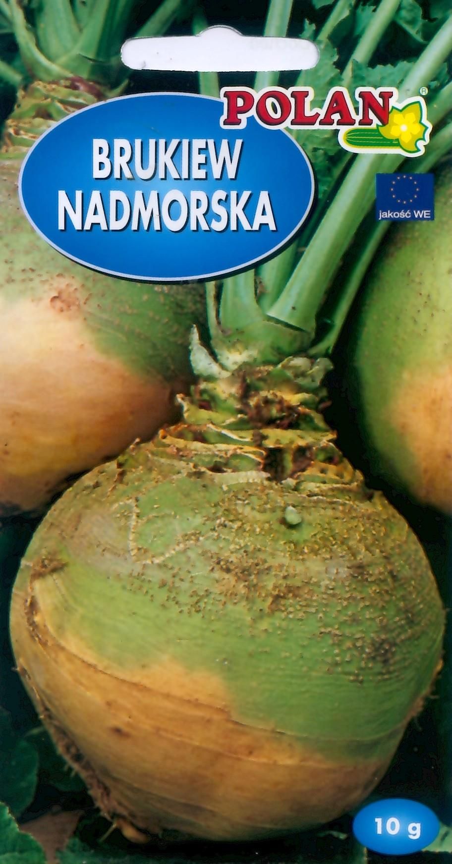 Polan 10G - Brukiew Jadalna Nadmorska - Ceny i opinie - Ceneo.pl