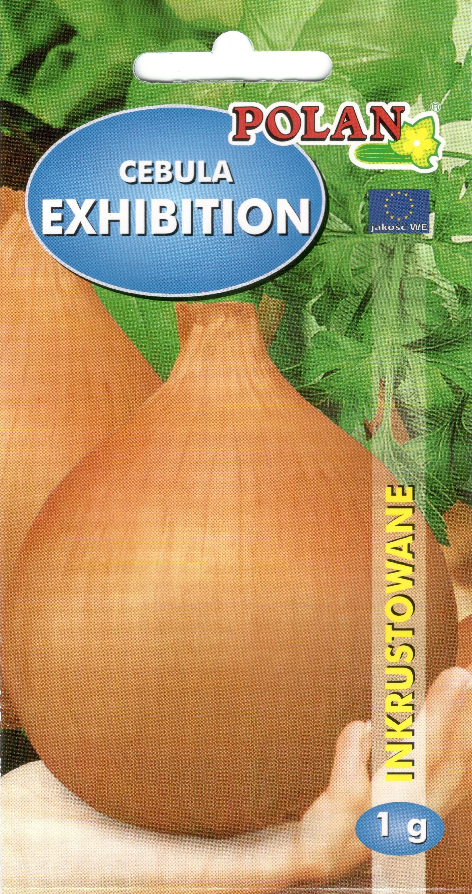 Polan 1G Cebula Żółta Exhibition - Nasiona Inkrustowane - Ceny i opinie ...
