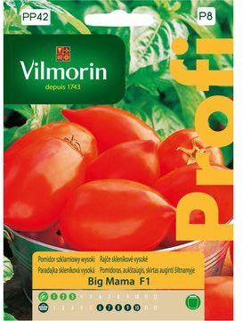 Vilmorin Pomidor Szklarniowy Big Mama - Ceny i opinie - Ceneo.pl