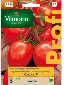 Vilmorin Pomidor Szklarniowy Cencara - Ceny i opinie - Ceneo.pl