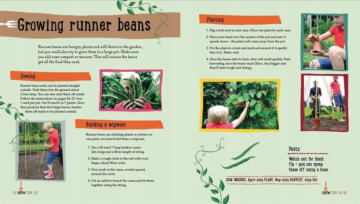 Kew Garden'S Children'S Cookbook - Craig Caroline - Literatura ...