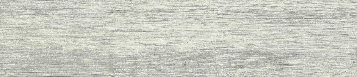 Płytki Paradyż Foresta rek. mat 21,5x98,5 - Opinie i ceny na Ceneo.pl