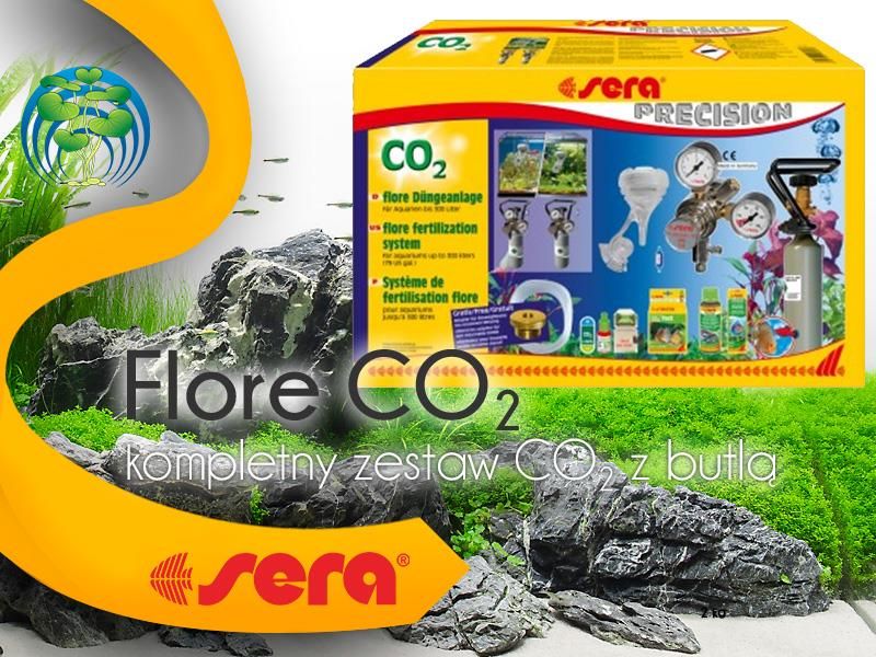SERA FLORE CO2 FERTILIZATION SYSTEM zestaw CO2 - Ceny i opinie - Ceneo.pl