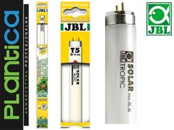 JBL SOLAR TROPIC ULTRA T5 świetlówka 54W 1047mm - Ceny i opinie - Ceneo.pl