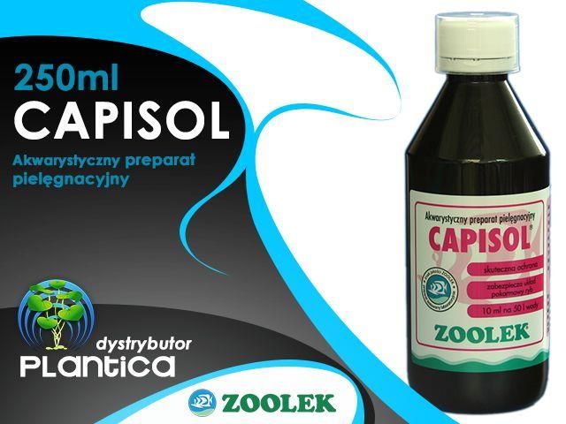 Zoolek Capisol Capitox 250ml - Ceny i opinie - Ceneo.pl
