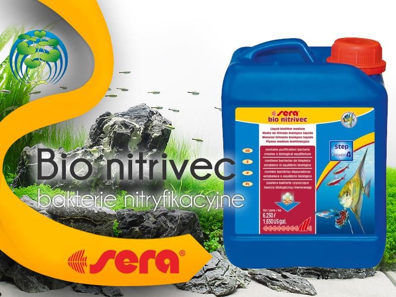 SERA BIO NITRIVEC bakterie biofilter 2500ml - Ceny i opinie - Ceneo.pl