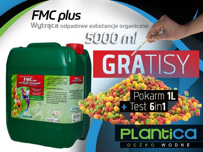 Zoolek Fmc Plus Ospa Pleśniawka Choroby 5L - Ceny i opinie - Ceneo.pl