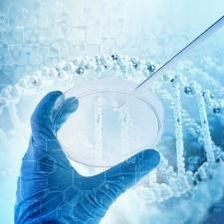 Centrum Badań DNA Badanie CINtec PLUS p16/Ki-67 - Opinie i ceny na Ceneo.pl