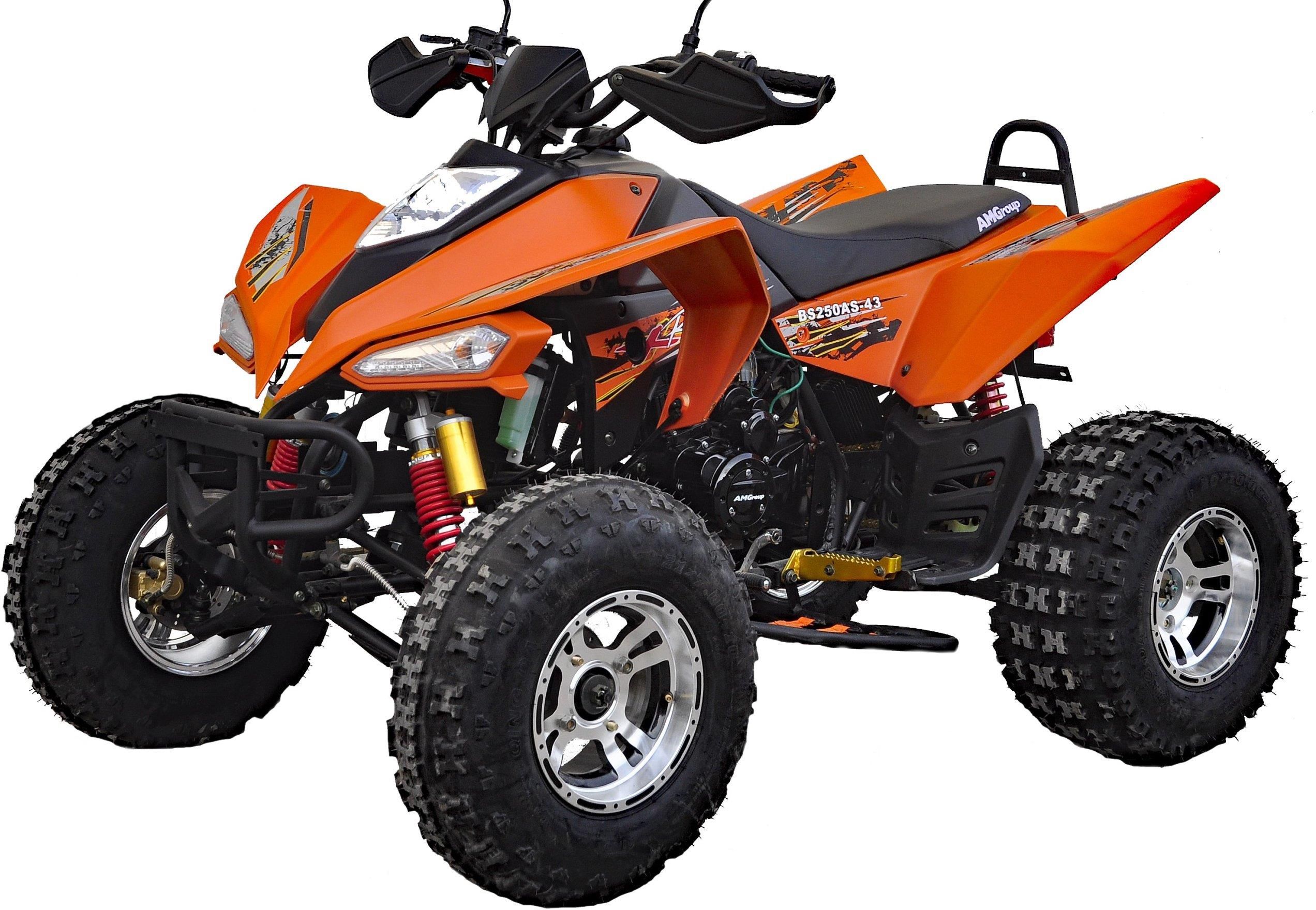 QUAD 250 atv SPEED MAX - Opinie i ceny na Ceneo.pl