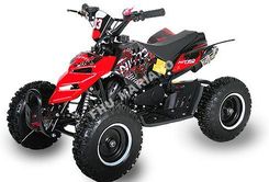 MINI QUAD 50 cc REPTI 2 SUW SPALINOWY EASY START - Opinie i ceny na ...