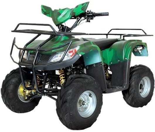 QUAD ZIPP KID 110cc. Bielsko 0 - Opinie i ceny na Ceneo.pl