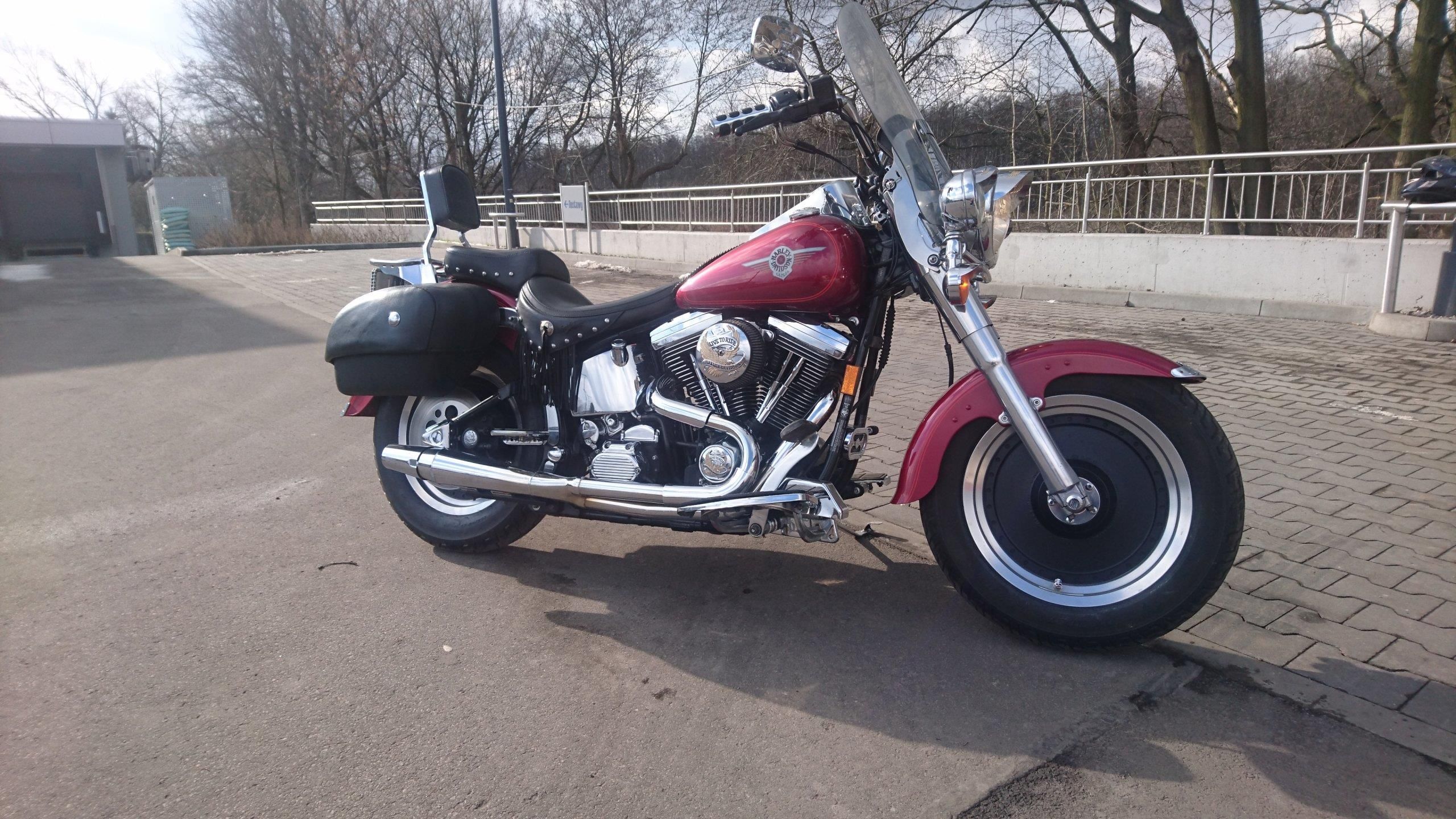 Harley-Davidson Fat Boy FLSTF 1999 EVO - Opinie i ceny na Ceneo.pl