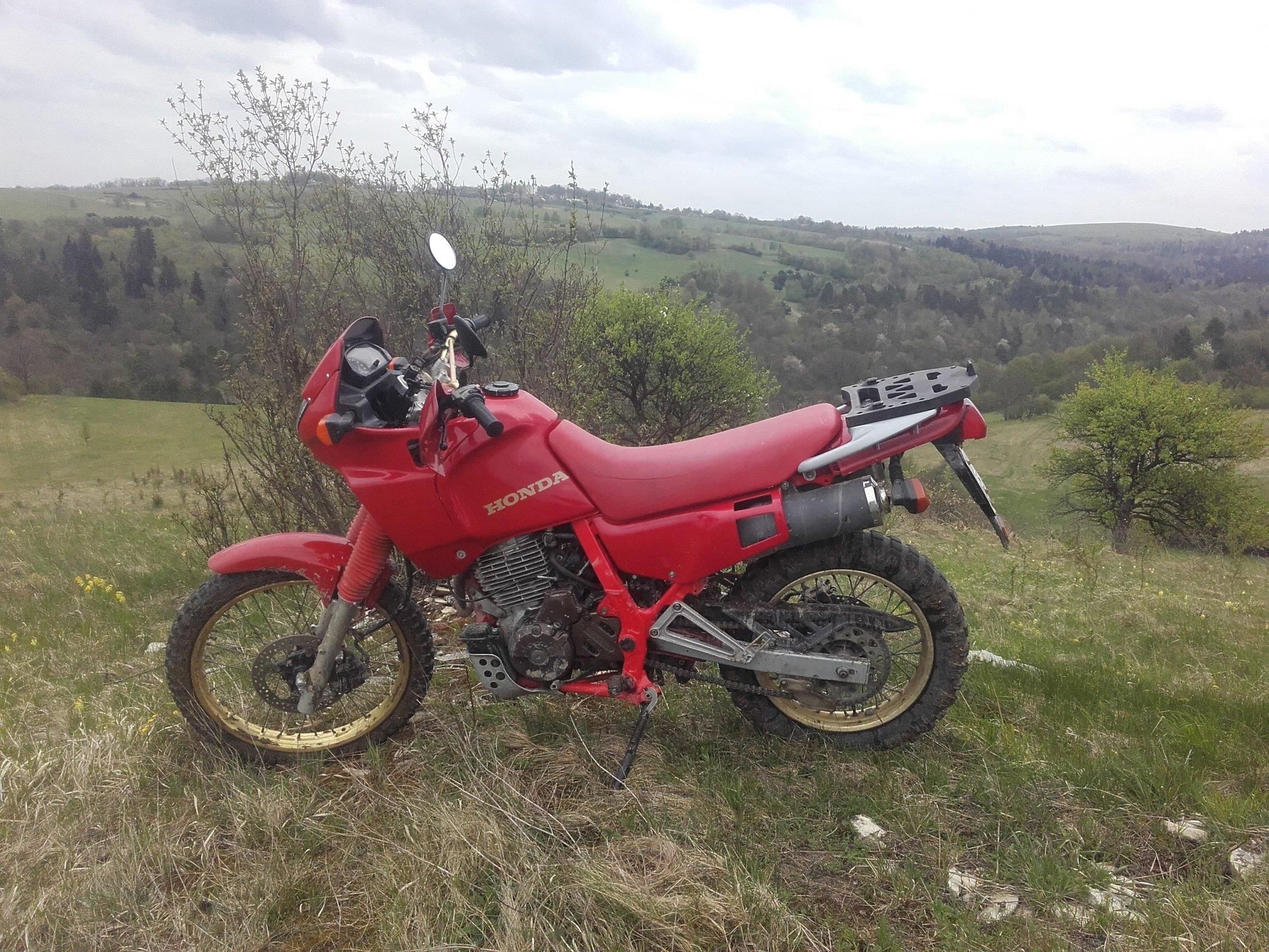 HONDA DOMINATOR NX 650 - Opinie i ceny na Ceneo.pl