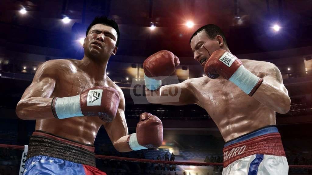 Fight Night Round 3 (Gra PS3) - Ceneo.pl