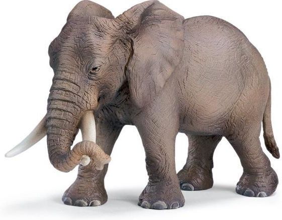 Schleich Słoń Afrykański Samica 14342 - Ceny i opinie - Ceneo.pl