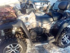 Quad CF 800 - Opinie i ceny na Ceneo.pl