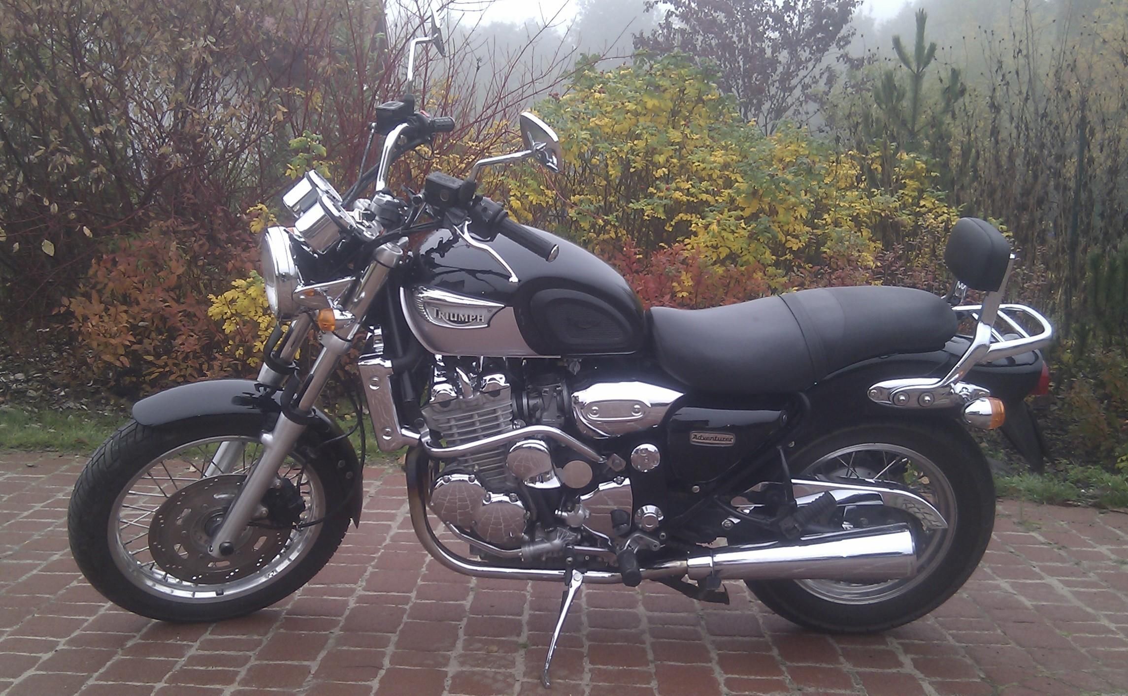 TRIUMPH Adventurer 900 cruiser - Opinie i ceny na Ceneo.pl