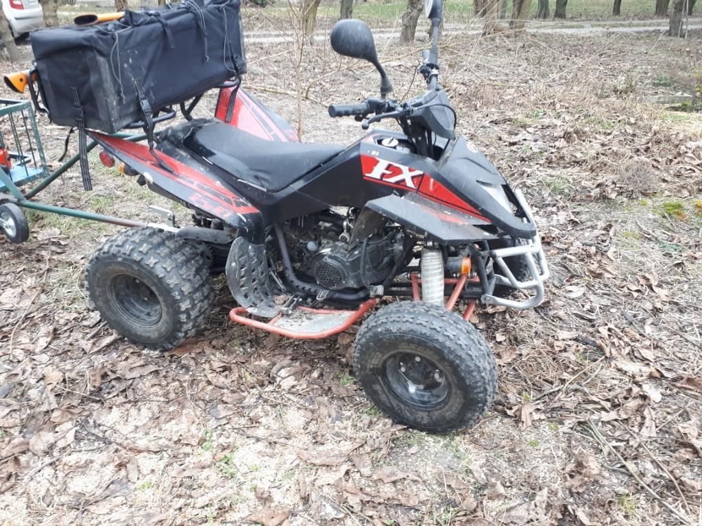 Quad Zonda FX 150 - Opinie i ceny na Ceneo.pl