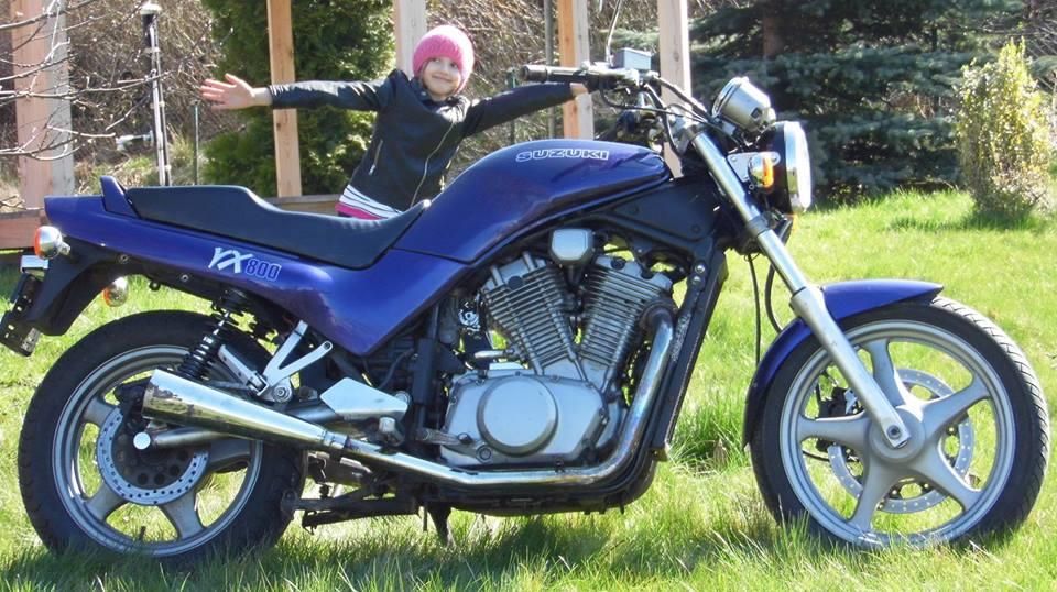 Sprzedam motocykl SUZUKI VX 800 - Opinie i ceny na Ceneo.pl