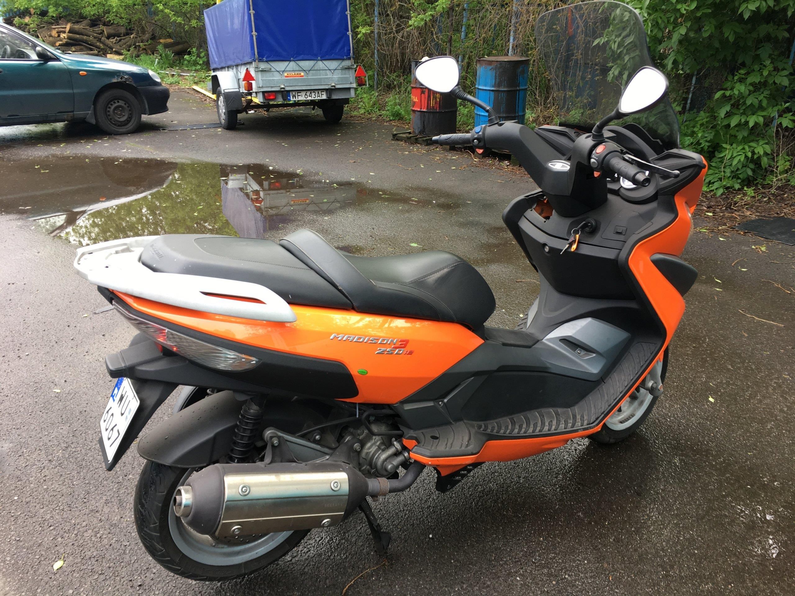 Skuter Malaguti Madison 250 ie. - Opinie i ceny na Ceneo.pl