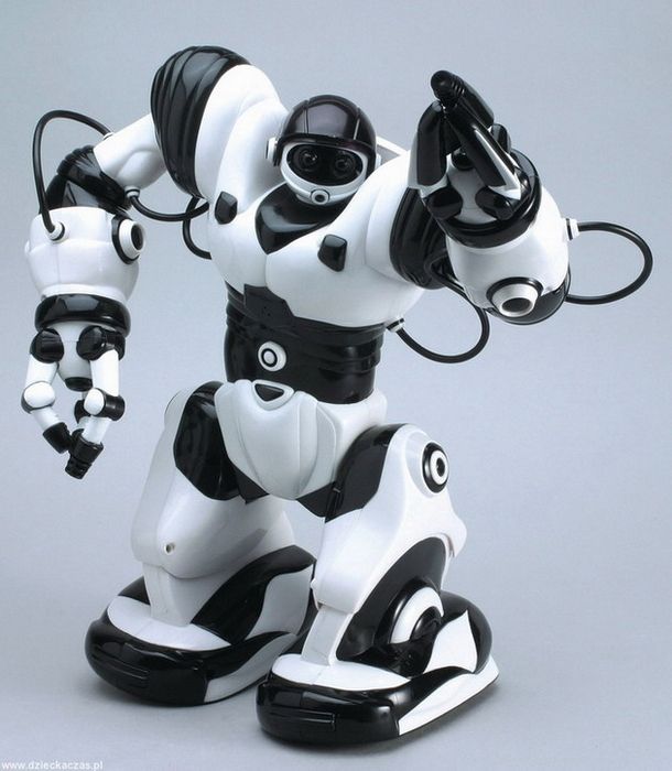 Wow Wee Robot Robosapiens - Ceny i opinie - Ceneo.pl