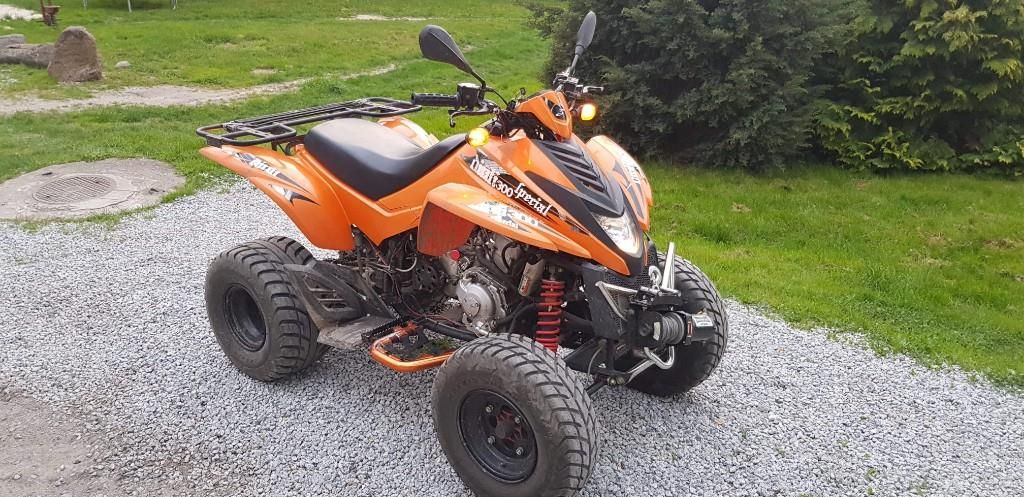 Quad Dinli 300R 2011r. - Opinie i ceny na Ceneo.pl