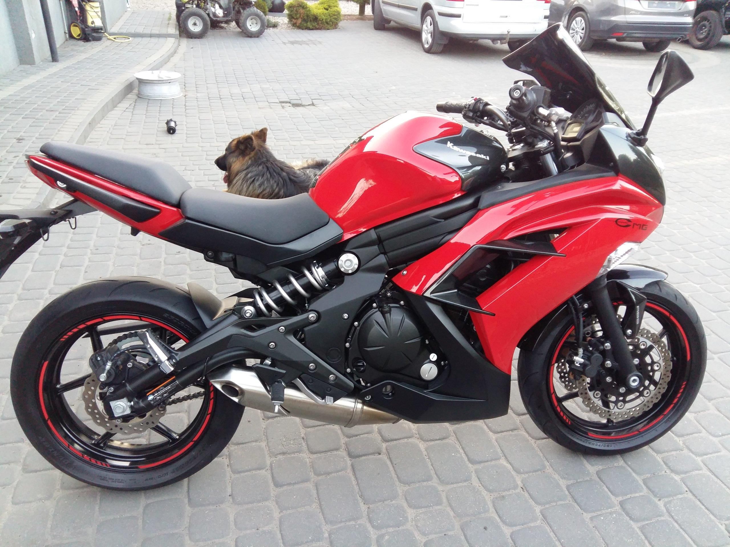 Kawasaki er-6f z ABS na kat. A2 - Opinie i ceny na Ceneo.pl