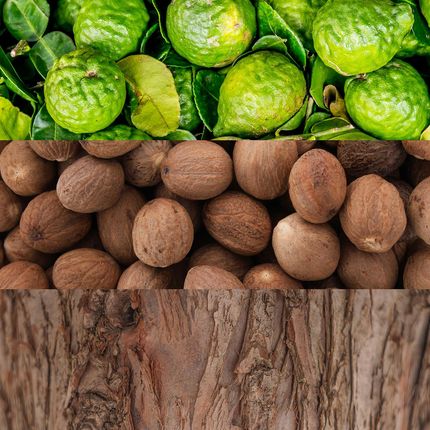 Calvin Klein Man Woda Toaletowa 100 ml - Opinie i ceny na Ceneo.pl