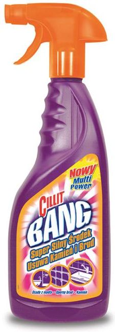 CILLIT SPRAY BANG KAMIEŃ I BRUD 750ml CHEREKSCz0004 - Opinie i ...