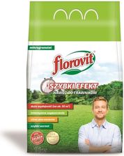 Nawóz Florovit Nawóz Do Trawników Szybki Efekt Worek 1Kg Inco - Ceny i opinie - Ceneo.pl