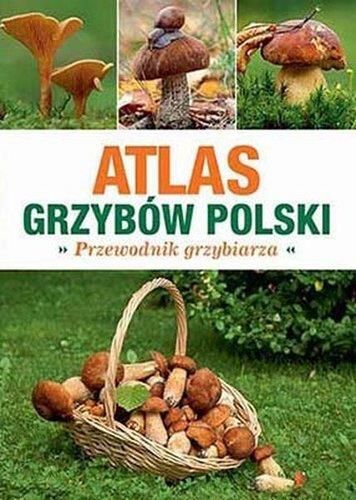 Atlas Grzybów Polski Poradnik Grzybiarza - Ceny i opinie - Ceneo.pl