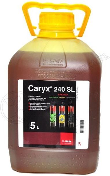 Basf Caryx 240 Sl 5L - Ceny i opinie - Ceneo.pl