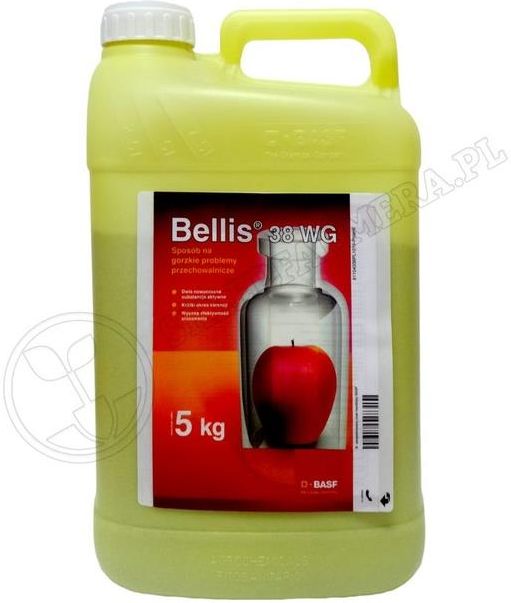 Basf Bellis 38 Wg 5Kg - Ceny i opinie - Ceneo.pl