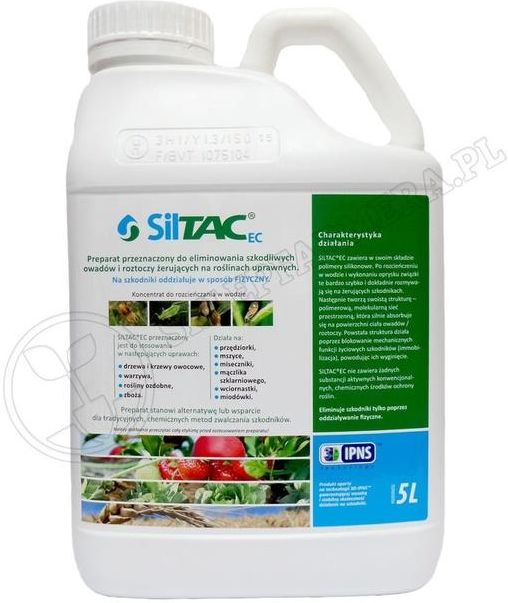 Icbpharma Siltac Ec 5L - Ceny i opinie - Ceneo.pl