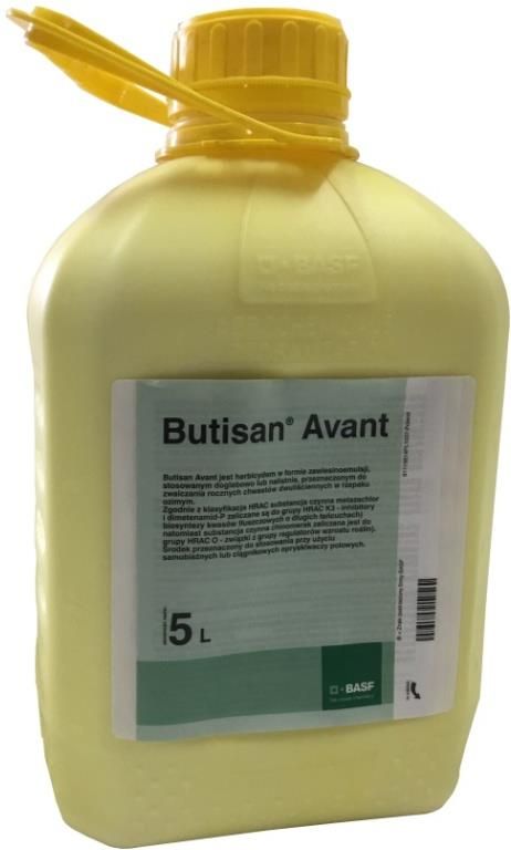 Basf Butisan Avant 5L - Ceny i opinie - Ceneo.pl
