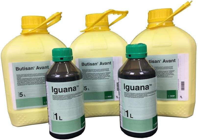 Basf Zestaw Butisan Avant 3x5L + 2x1L Iguana - Ceny i opinie - Ceneo.pl