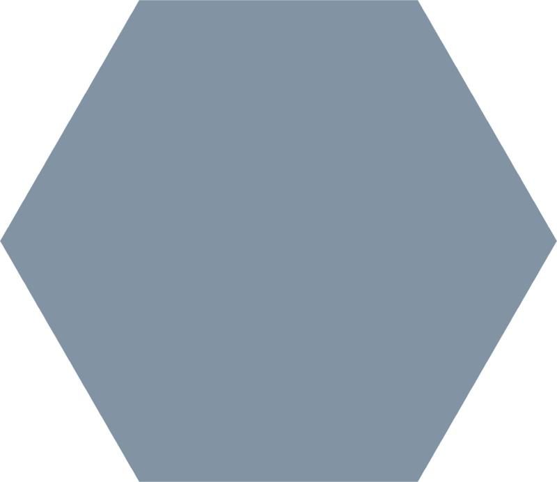 Płytki Codicer Basic Ducados Hex 25 25x22 - Opinie i ceny na Ceneo.pl