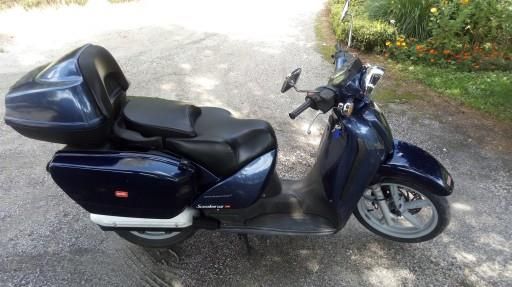 APRILIA SCARABEO 150 - Opinie i ceny na Ceneo.pl