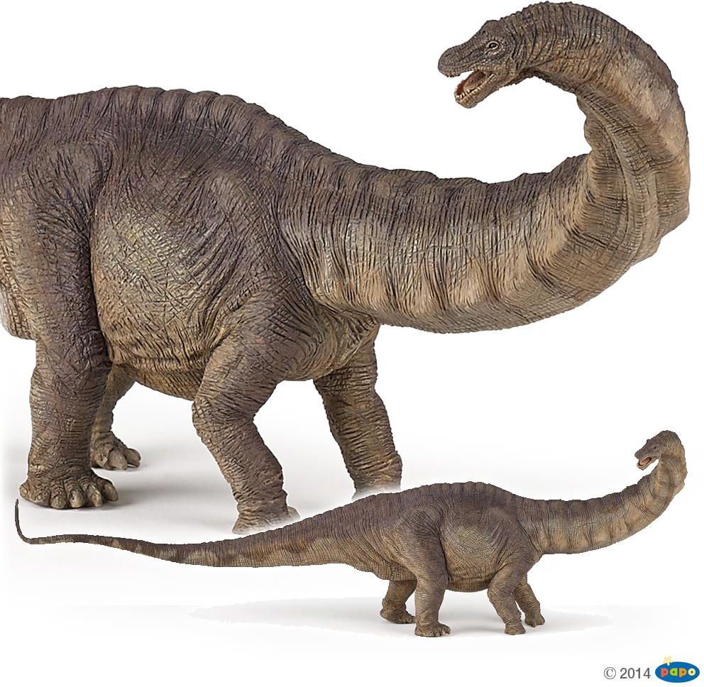 Papo Apatozaur 40X6X13Cm 55039 - Ceny i opinie - Ceneo.pl
