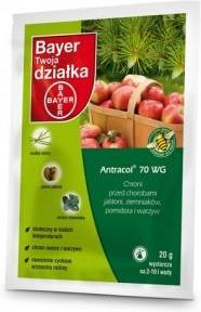 Bayer Antracol 70WG 20g - Ceny i opinie - Ceneo.pl