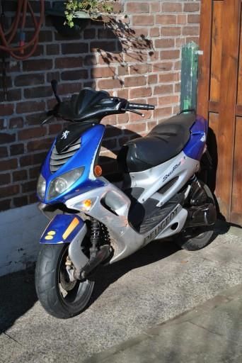Peugeot Speed Fight 2 - Opinie i ceny na Ceneo.pl