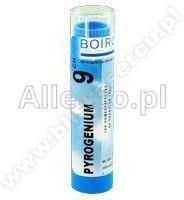 Lek homeopatyczny Boiron Pyrogenium 9CH 4 g - Opinie i ceny na Ceneo.pl