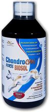 ChondroCan Forte Biosol 500ml - Ceny i opinie - Ceneo.pl