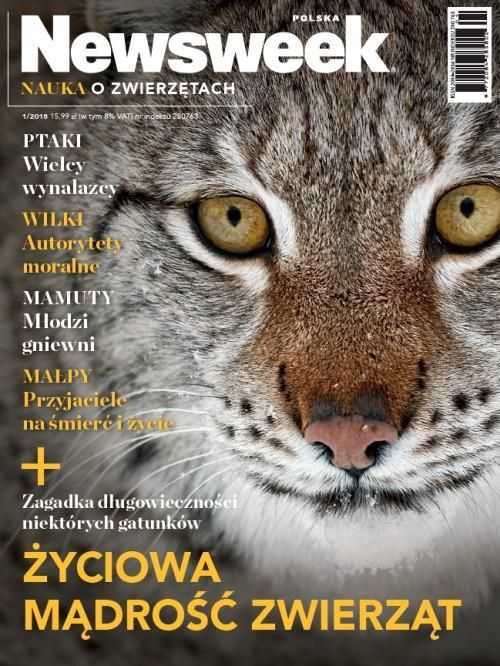 Newsweek Polska Nauka 1/18 - Ceny i opinie - Ceneo.pl
