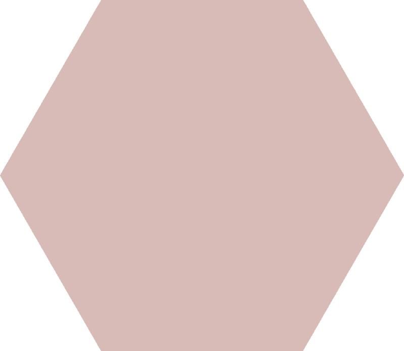 Płytki Codicer Basic Rose Hex 25 25x22 - Opinie i ceny na Ceneo.pl